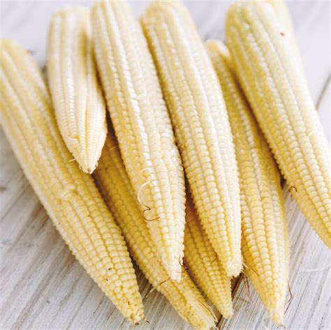 Miniture Sweet Corn Sweetcorn Minipop F1 Premier Seeds Direct
