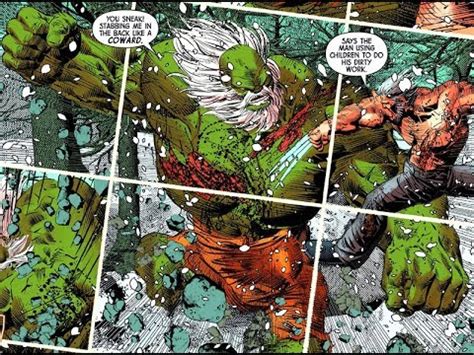Old Man Logan Vs Maestro Hulk 6 The End Youtube