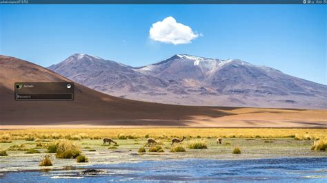 How To Fix Blank Page Issue In Vivaldi Brave And Chrome In Linux Mint Ghacks Tech News