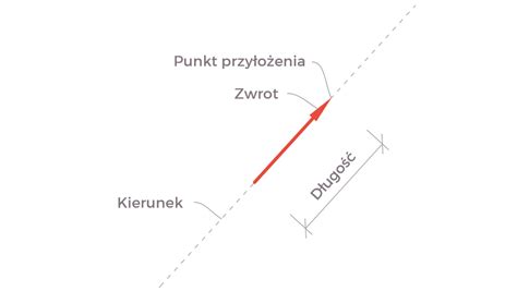 Rys 21 Cechy Wektora