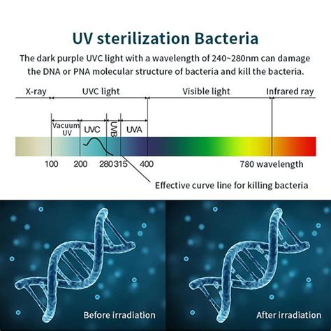 Stylish Uvc Disinfection Box With Wireless Charging Electronic