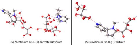 Asymmetric Units Of S Nicotinium Bis L Tartrate Dihydrate Left