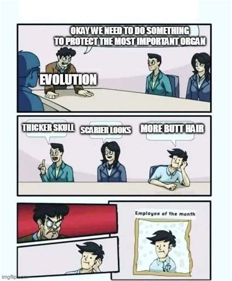 Classic Evolution Rmemes