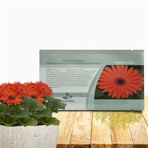 Gerbera Seed Orange Gerbera Daisy Flower Seeds