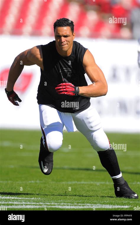 Tamap Florida Usa 25th Nov 2012 Atlanta Falcons Tight End Tony