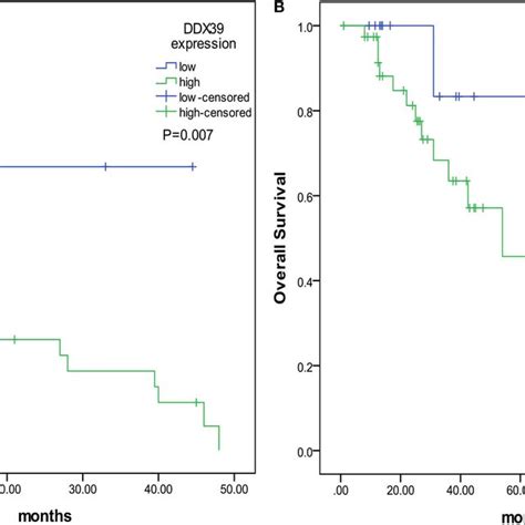 The Effect Of Ddx39a Knockdown On The Cell Cycle And Apoptosis Of