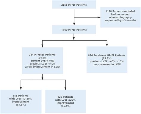 Flow Diagram Of Patient Identification Exclusion And Classification