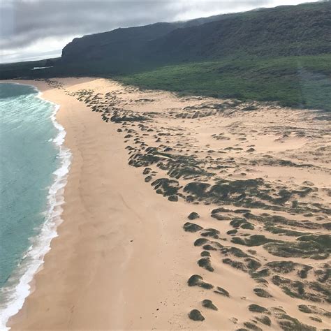 Niihau Helicopter All You Should Know Before Going 2026 With Reviews