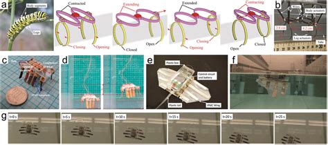 a a 3d‐printed ipmc soft crawling robot inspired by a caterpillar and