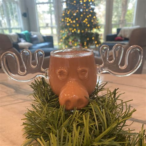 Chocolate Pudding Symbios Health