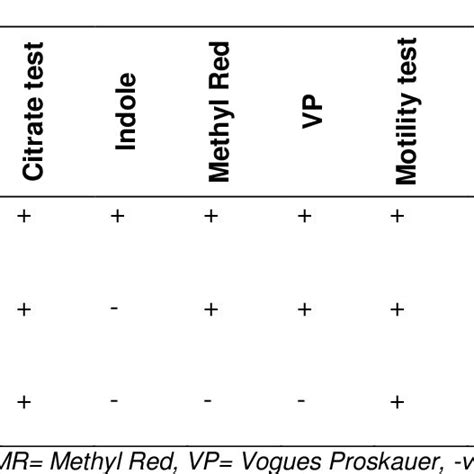 Morphology And Biochemical Characteristics Of Bacterial Isolates