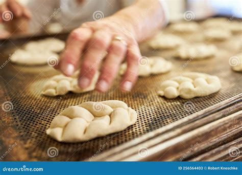 Hand Of A Baker Baking Yeast Plaited Bread On A Tray Stock Image Image Of Preparation