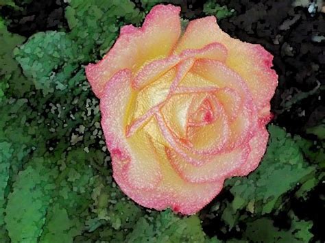 Photography And Photoshop Work By Evie Moore Sawyer