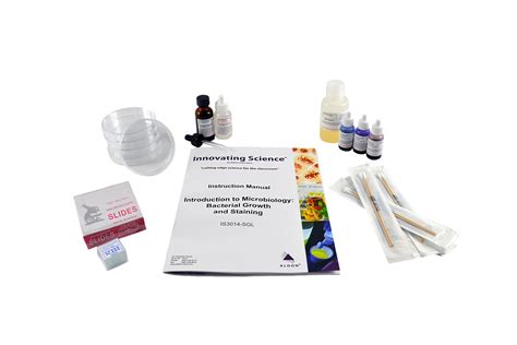 Small Group Learning Introduction To Microbiology Bacterial Growth And Staining Nebraska