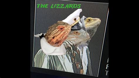 Lizzards Lizzards Youtube