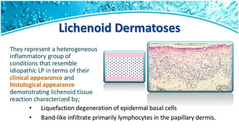Lichenoid Dermatosespotx