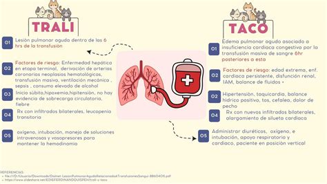 Trali 1 Leydy Vanessa Cuevas Rojas Udocz