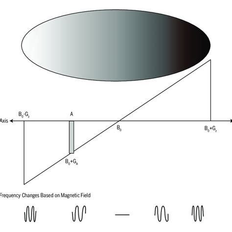 Diagram Of A Sample Linear Magnetic Field Gradient Of Amplitude G Z
