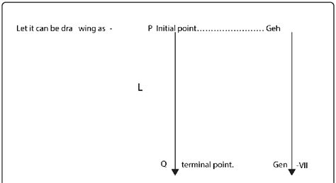 Analogical Representation Of Directed Straight Line With Lineage Download Scientific Diagram
