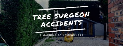 Tree Surgeon Accidents A Warning To Homeowners Ashley Tree Services