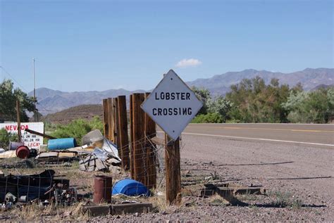 Mina Nevada Lobsters 2 Mina Is Located In Mineral County I… Flickr