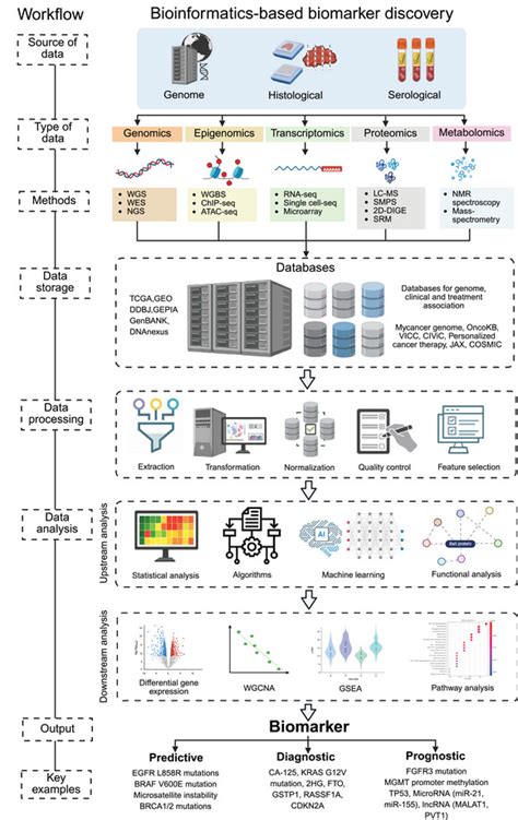 Current Bioinformatics Tools In Precision Oncology Pmc