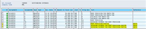 SAP FICO MODULE LEARNING Checking Open Item And Cleared Items After Payment