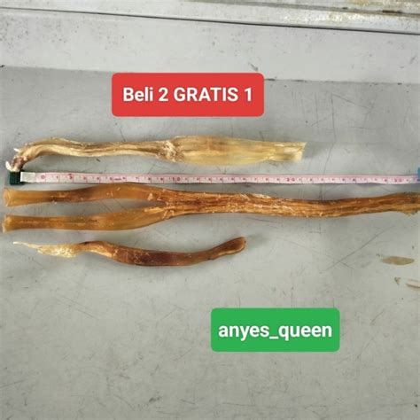 Jual Otot Kaki Sapi Keringurat Sapiurat Kaki Sapi Premium Tendon