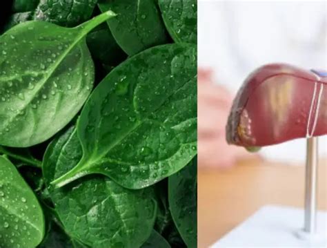 Los Tres Alimentos Esenciales Para La Salud Cerebral