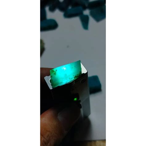 Jual Bacan Doko Paket Shopee Indonesia