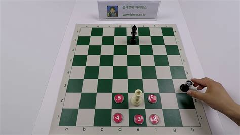체스왕초보 06 킹 움직이는 방법 Youtube