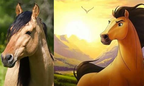 Meet The Real Horse That Inspired Spirit Stallion Of The Cimarron