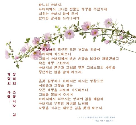 Daum 카페