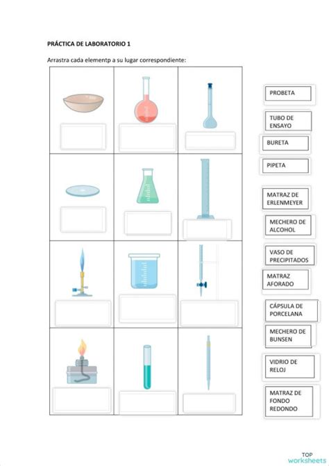 Material De Laboratorio Ficha Interactiva Topworksheets