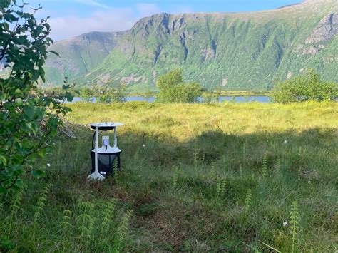 Led25 White Compact Led Heath Moth Trap Kit With Anker Powerbank