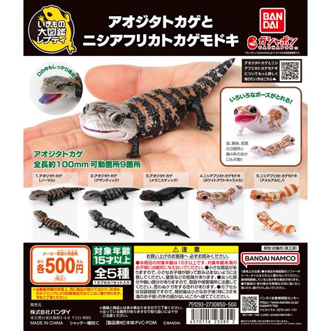 いきもの大図鑑レプティ アオジタトカゲとニシアフリカトカゲモドキ ナムコパークス オンラインストア Namco Parks