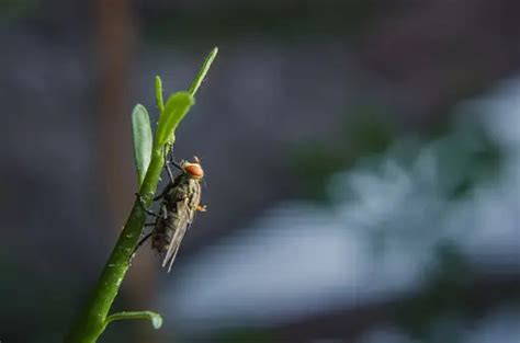 Blurr Pictures Download Free Images On Unsplash