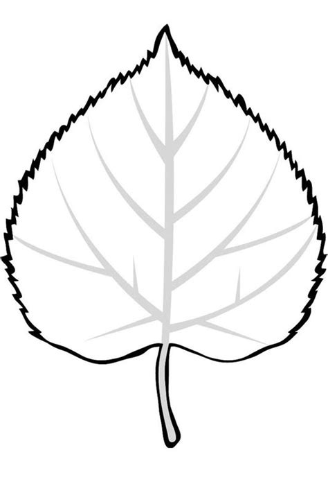 Frunze De Colorat Frunze De Desenat Fise Si De Colorat Cu Frunze Imagini Descarca Gratuit