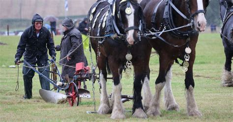 Heavy Rain Follows The Sunshine On Final Day Of The National Ploughing