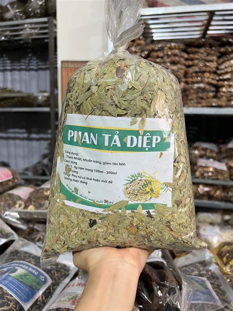 Công Dụng Phan Tả Diệp Và Cách Dùng Dược Liệu
