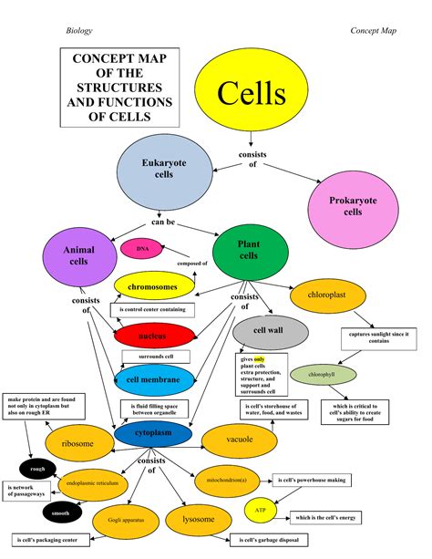 Cell Map