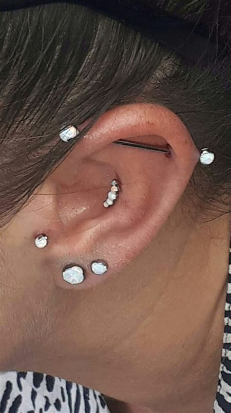 Conch Tragus Industrial Conch And Industrial Piercing Ear Piercing
