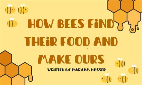 How Bees Find Their Food And Make Ours Youth In Food Systems