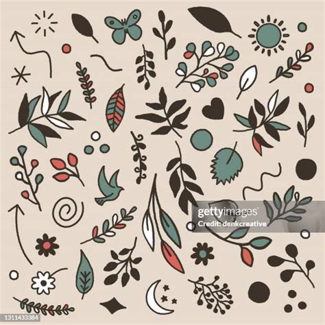 Deciduous Trees Photos And Premium High Res Pictures Getty Images