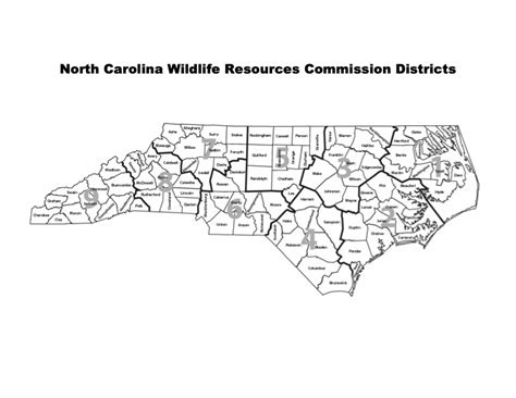 Bear Hunting In Panthertown Ncwrc Public Hearing Jan 20 Comments Due