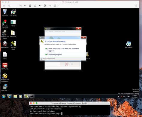 Spycamlizard 1230 Denial Of Service Windows Dos Exploit