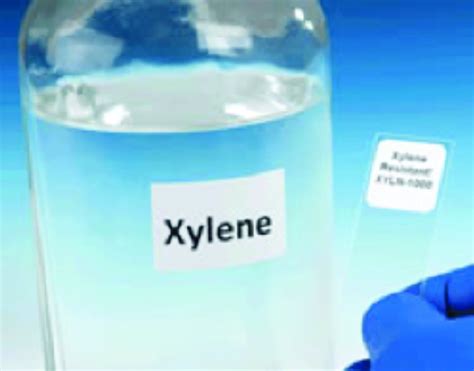 Xylene Resistant Thermal Transfer Labels Electron Microscopy Sciences