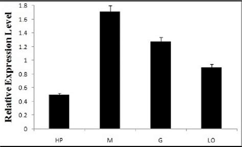 A Phylogenetic Tree Constructed With The Neighborjoining Method The