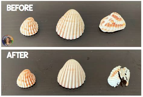 Ocean Acidification Lab Science Lessons That Rock