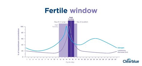 Fertile Period Of Women
